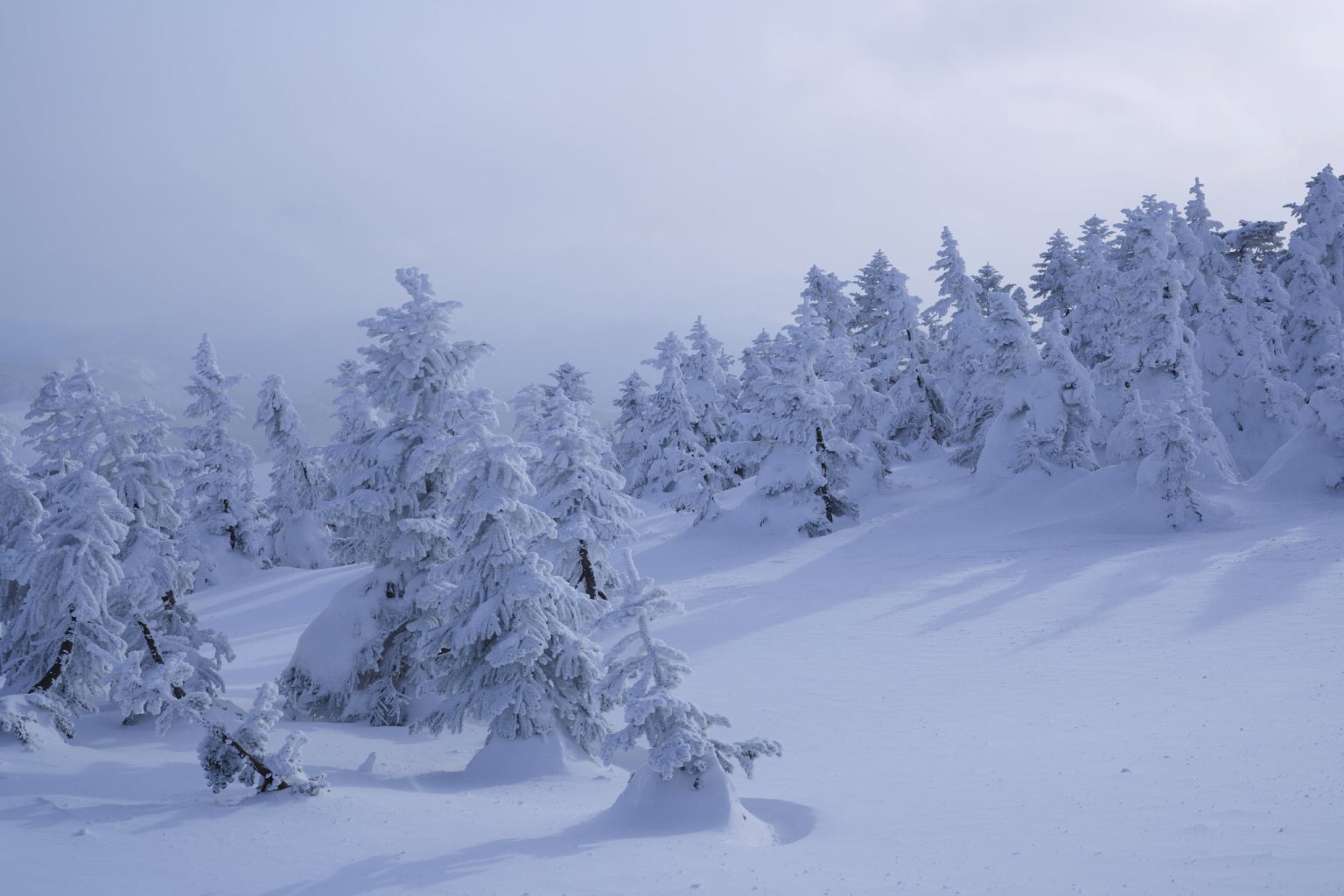 厳冬期 萩原れいこ写真教室 - 石の湯ロッジ
