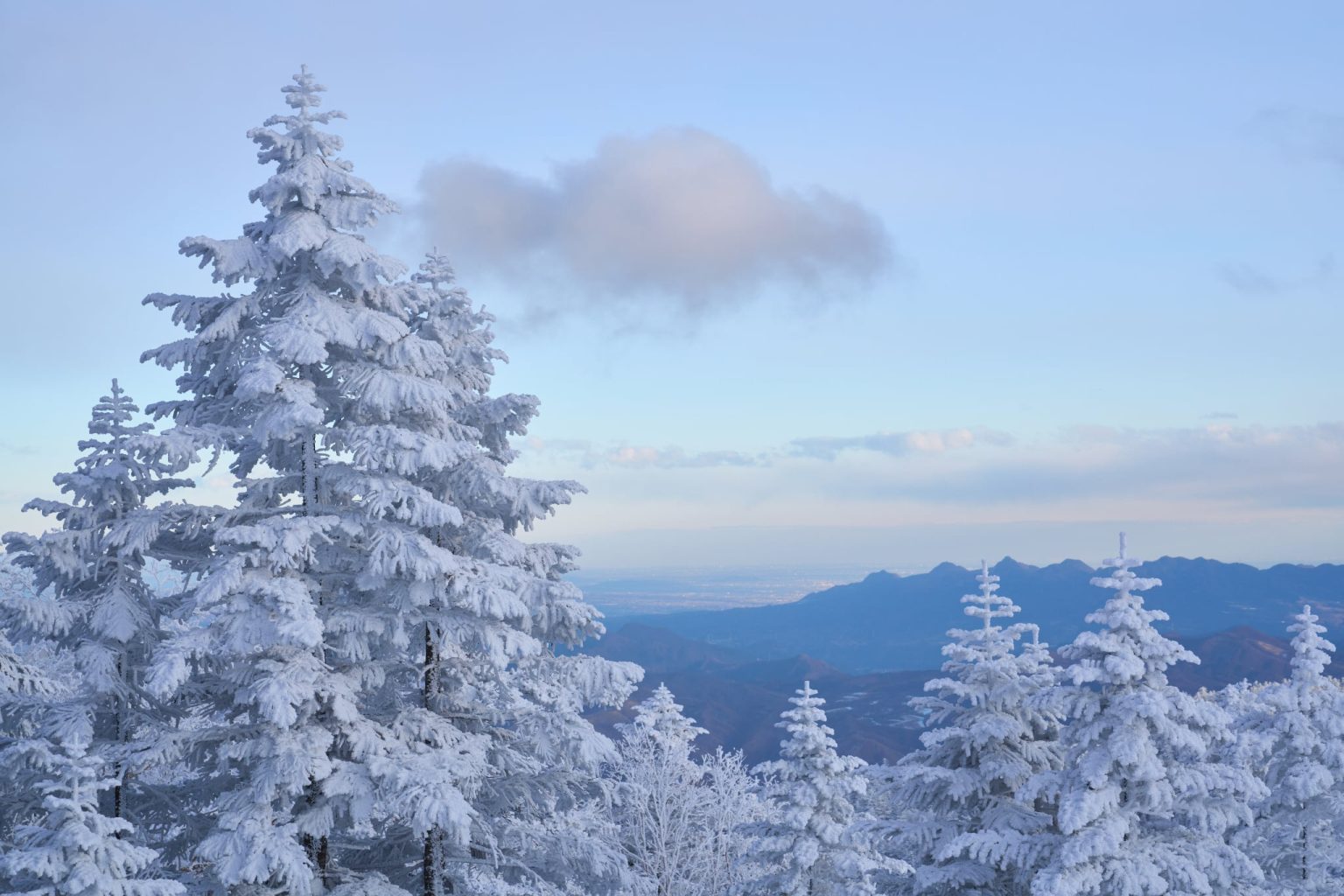 厳冬期 萩原れいこ写真教室 - 石の湯ロッジ